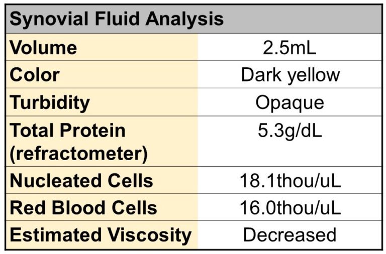 February 2019 Case of the Month | eClinpath